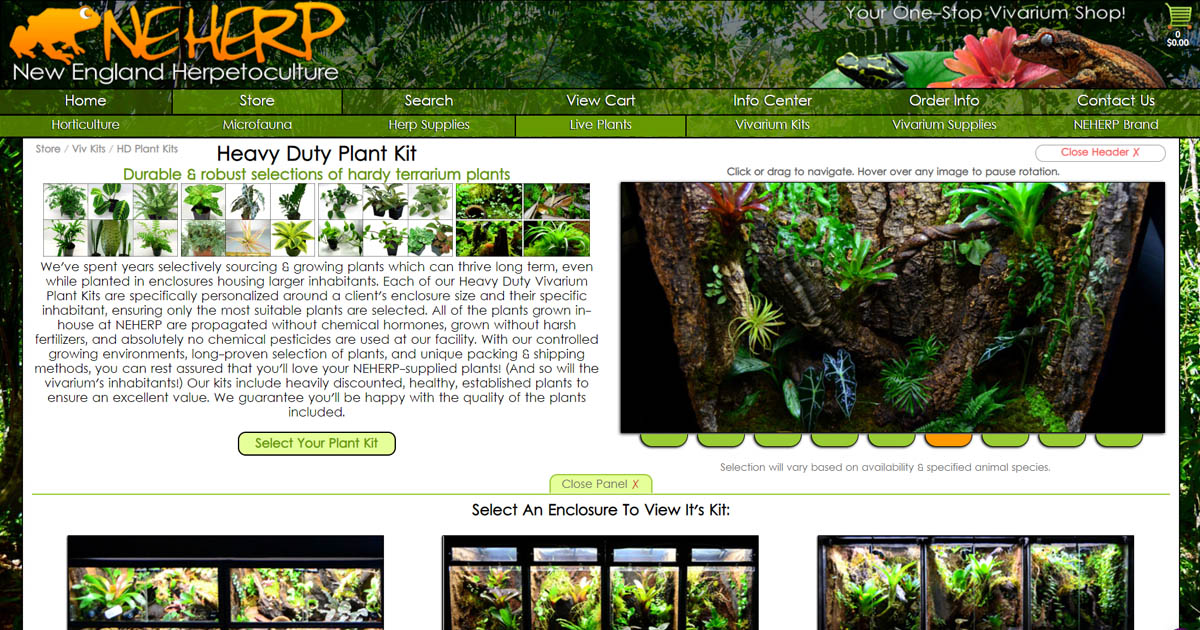 Heavy Duty Animal Safe Live Plant Kits For Live Vivariums & Bioactive ...