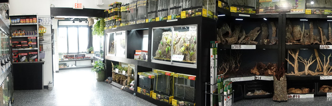 NEHERP: Your One Stop Vivarium Shop! | Bioactive Terrarium Supply Store ...